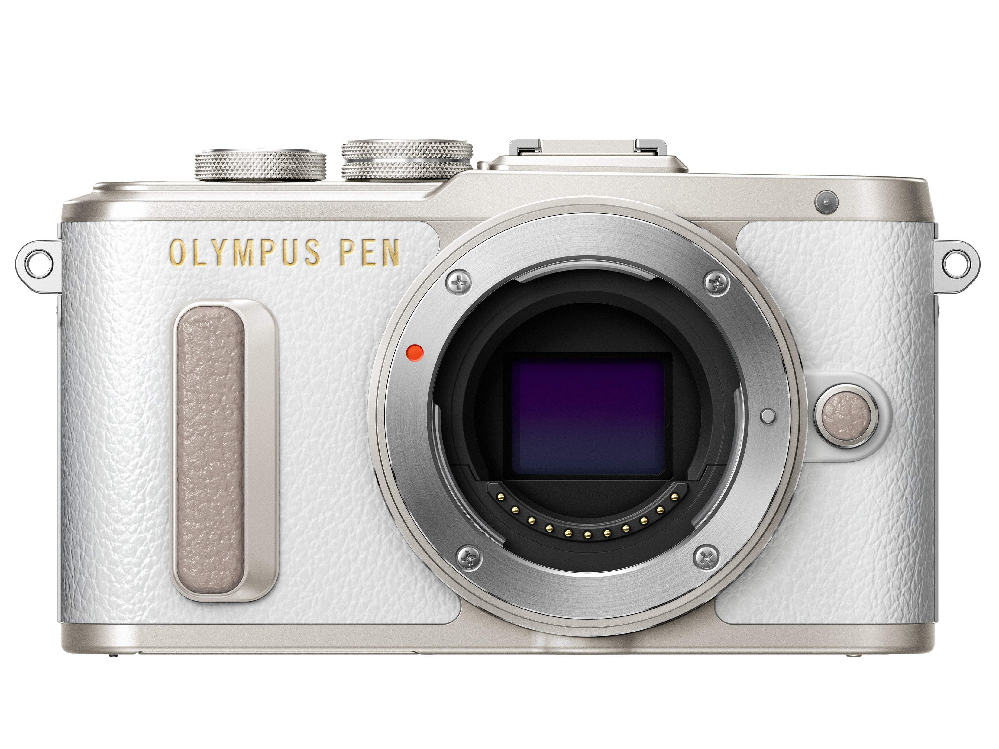 【キャンペーン】OLYMPUS PEN E-PL8 発売記念 メーカー保証6カ月延長キャンペーン - デジカメ Watch